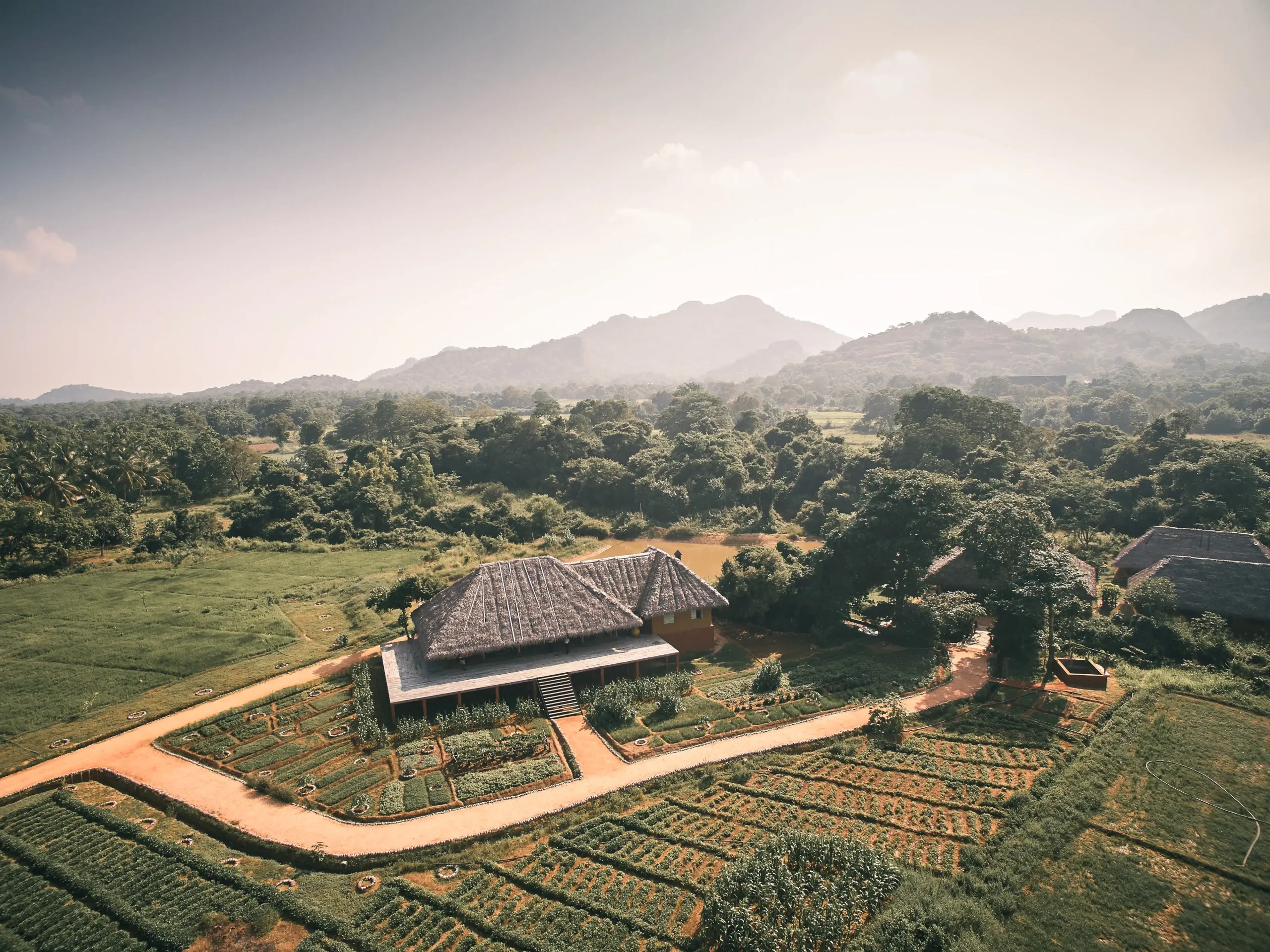 Discover Amuna: Sri Lanka’s Premier Wellness Sanctuary - Ayurveda ...
